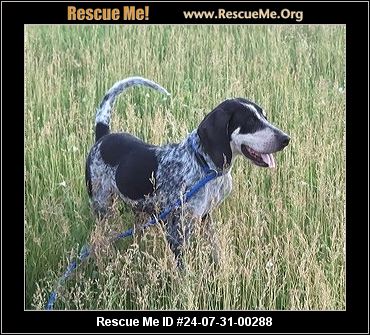 - Nebraska Dog Rescue - ADOPTIONS - Rescue Me!