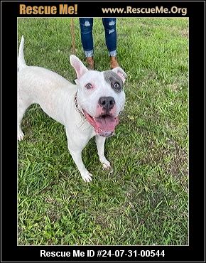 - New Jersey Dog Rescue - ADOPTIONS - Rescue Me!