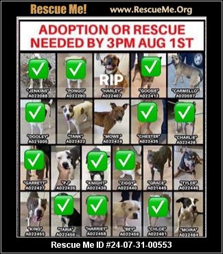 - North Carolina Dog Rescue - ADOPTIONS - Rescue Me!