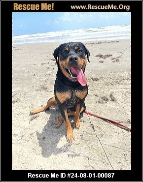 - Texas Rottweiler Rescue - ADOPTIONS - Rescue Me!