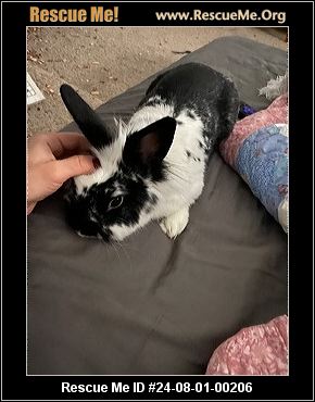 - Pennsylvania Rabbit Rescue - ADOPTIONS - Rescue Me!