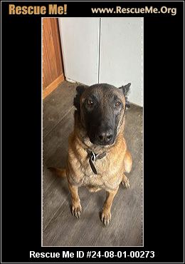 - Pennsylvania Dog Rescue - ADOPTIONS - Rescue Me!