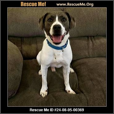 - Pennsylvania Dog Rescue - ADOPTIONS - Rescue Me!