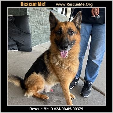 - Pennsylvania German Shepherd Rescue - ADOPTIONS - Rescue Me!