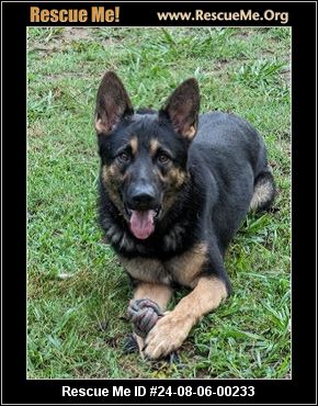 - Alabama Dog Rescue - ADOPTIONS - Rescue Me!