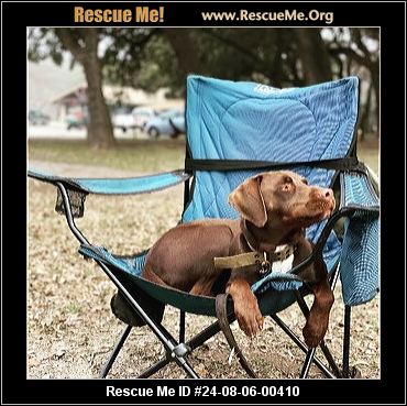 - Alaska Dog Rescue - ADOPTIONS - Rescue Me!