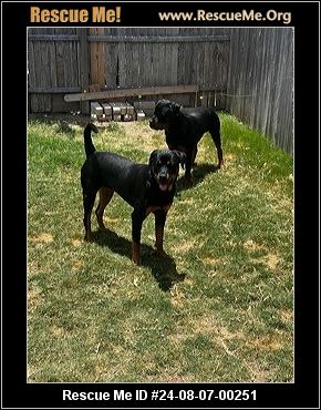 - Texas Rottweiler Rescue - ADOPTIONS - Rescue Me!