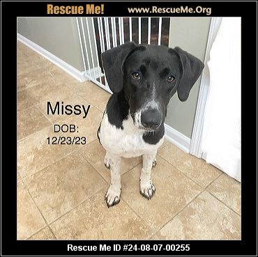 - Delaware Dog Rescue - ADOPTIONS - Rescue Me!