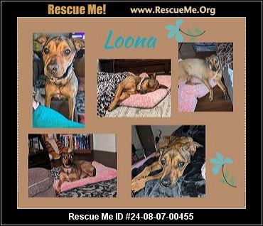 - Washington Dog Rescue - ADOPTIONS - Rescue Me!