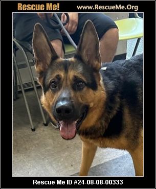 - Pennsylvania Dog Rescue - ADOPTIONS - Rescue Me!