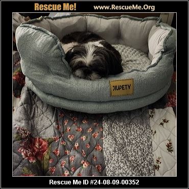 - Alabama Dog Rescue - ADOPTIONS - Rescue Me!