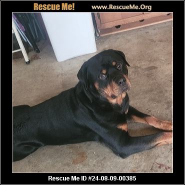 - Virginia Rottweiler Rescue - ADOPTIONS - Rescue Me!