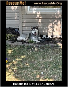 - Ohio Siberian Husky Rescue - ADOPTIONS - Rescue Me!