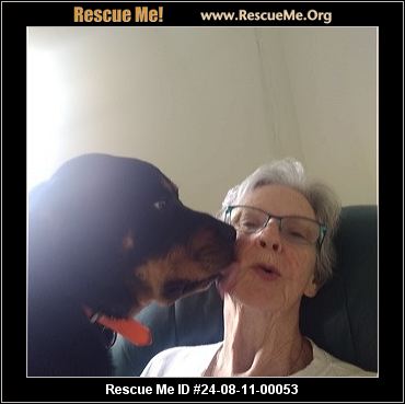 - Virginia Dog Rescue - ADOPTIONS - Rescue Me!