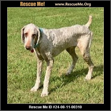 - Alabama Dog Rescue - ADOPTIONS - Rescue Me!