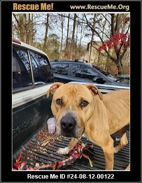 - Georgia Dog Rescue - ADOPTIONS - Rescue Me!