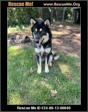 - South Carolina Dog Rescue - ADOPTIONS - Rescue Me!