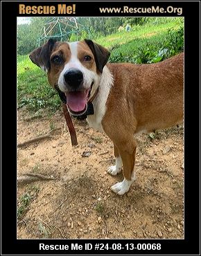 - Tennessee Mutt Rescue - ADOPTIONS - Rescue Me!