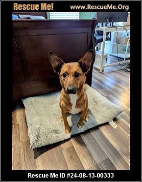 - Indiana Dog Rescue - ADOPTIONS - Rescue Me!