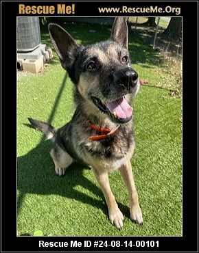 - Georgia Dog Rescue - ADOPTIONS - Rescue Me!