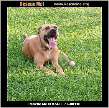 - South Carolina Dog Rescue - ADOPTIONS - Rescue Me!