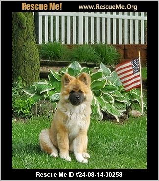 - Nebraska Dog Rescue - ADOPTIONS - Rescue Me!