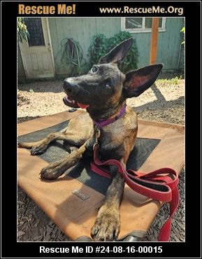 - Oregon Dog Rescue - ADOPTIONS - Rescue Me!