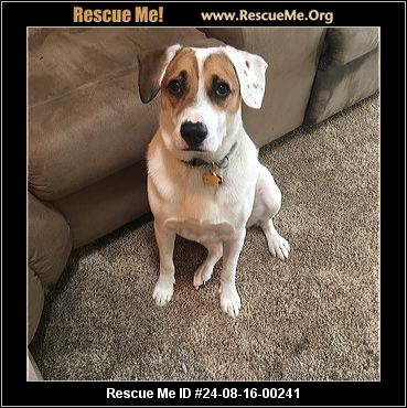 - Nebraska Dog Rescue - ADOPTIONS - Rescue Me!