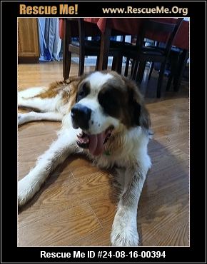 - Pennsylvania Dog Rescue - ADOPTIONS - Rescue Me!