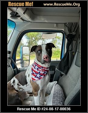 - Nebraska Dog Rescue - ADOPTIONS - Rescue Me!