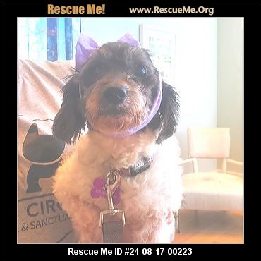 - Alabama Dog Rescue - ADOPTIONS - Rescue Me!