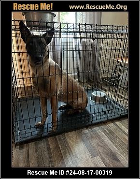 - Kentucky Dog Rescue - ADOPTIONS - Rescue Me!