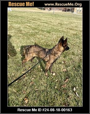 - Colorado Dog Rescue - ADOPTIONS - Rescue Me!