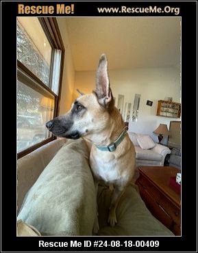 - Colorado Dog Rescue - ADOPTIONS - Rescue Me!