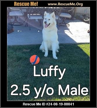 - Ohio Dog Rescue - ADOPTIONS - Rescue Me!