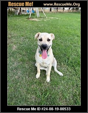 - Washington Dog Rescue - ADOPTIONS - Rescue Me!