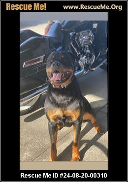 - California Rottweiler Rescue - ADOPTIONS - Rescue Me!