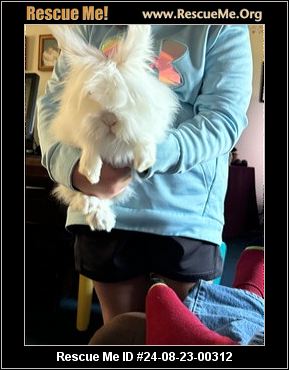 - Ohio Rabbit Rescue - ADOPTIONS - Rescue Me!