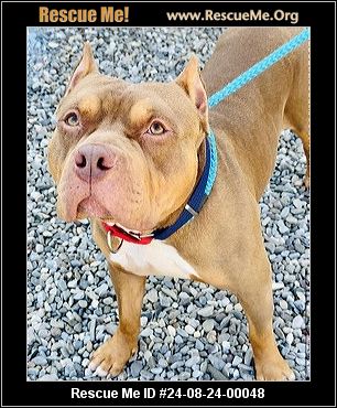 - New Jersey Dog Rescue - ADOPTIONS - Rescue Me!