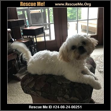 - Ohio Dog Rescue - ADOPTIONS - Rescue Me!