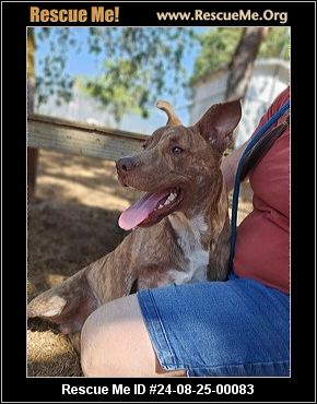 - Oregon Dog Rescue - ADOPTIONS - Rescue Me!