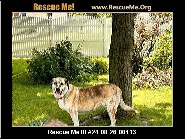- Nebraska Dog Rescue - ADOPTIONS - Rescue Me!