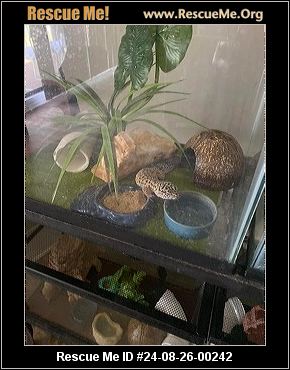 - Illinois Reptile/Amphibian Rescue - ADOPTIONS - Rescue Me!