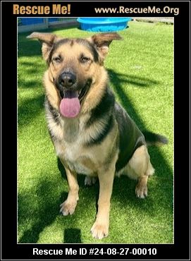 - Oregon Dog Rescue - ADOPTIONS - Rescue Me!