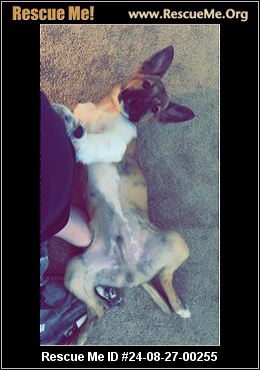 - Nebraska Dog Rescue - ADOPTIONS - Rescue Me!