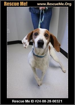 - Oregon Dog Rescue - ADOPTIONS - Rescue Me!