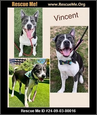 - Colorado Dog Rescue - ADOPTIONS - Rescue Me!