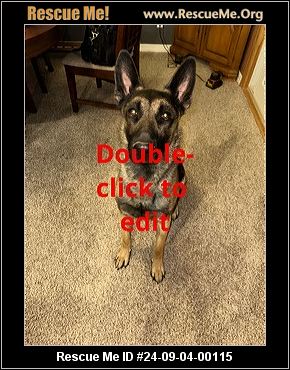 - Colorado Dog Rescue - ADOPTIONS - Rescue Me!