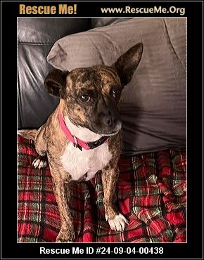 - Oregon Dog Rescue - ADOPTIONS - Rescue Me!