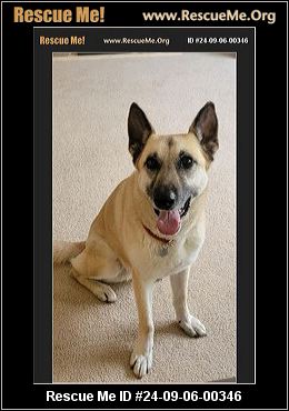 - Minnesota Dog Rescue - ADOPTIONS - Rescue Me!